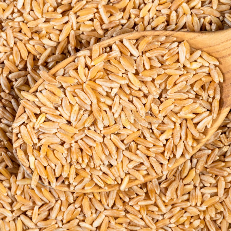 Sushan Essentials Canada Inc. – Pulses, Grains & Food Ingredients